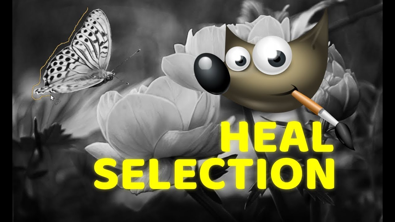 Gimp How To Use Heal Selection YouTube Gimp How To Use Heal Selection YouTube