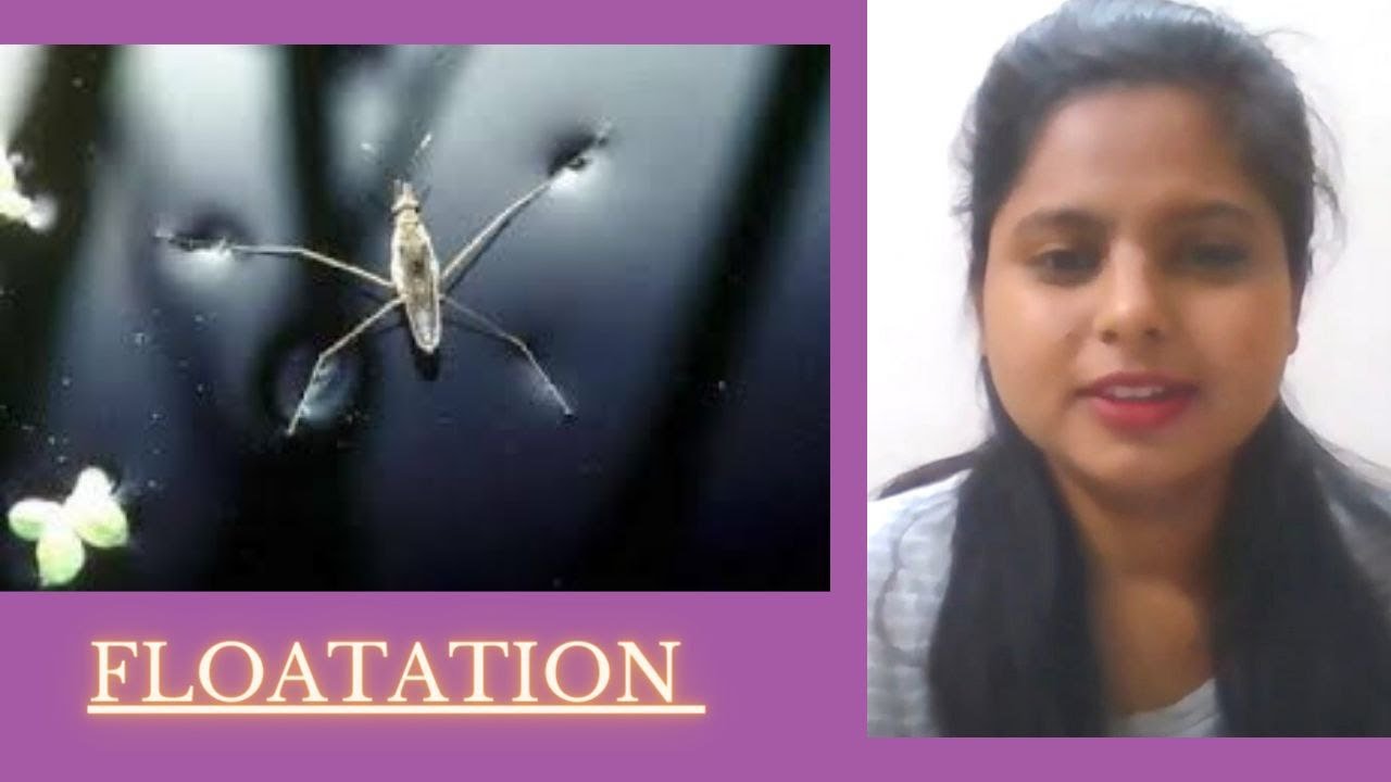 FLOATATION - YouTube