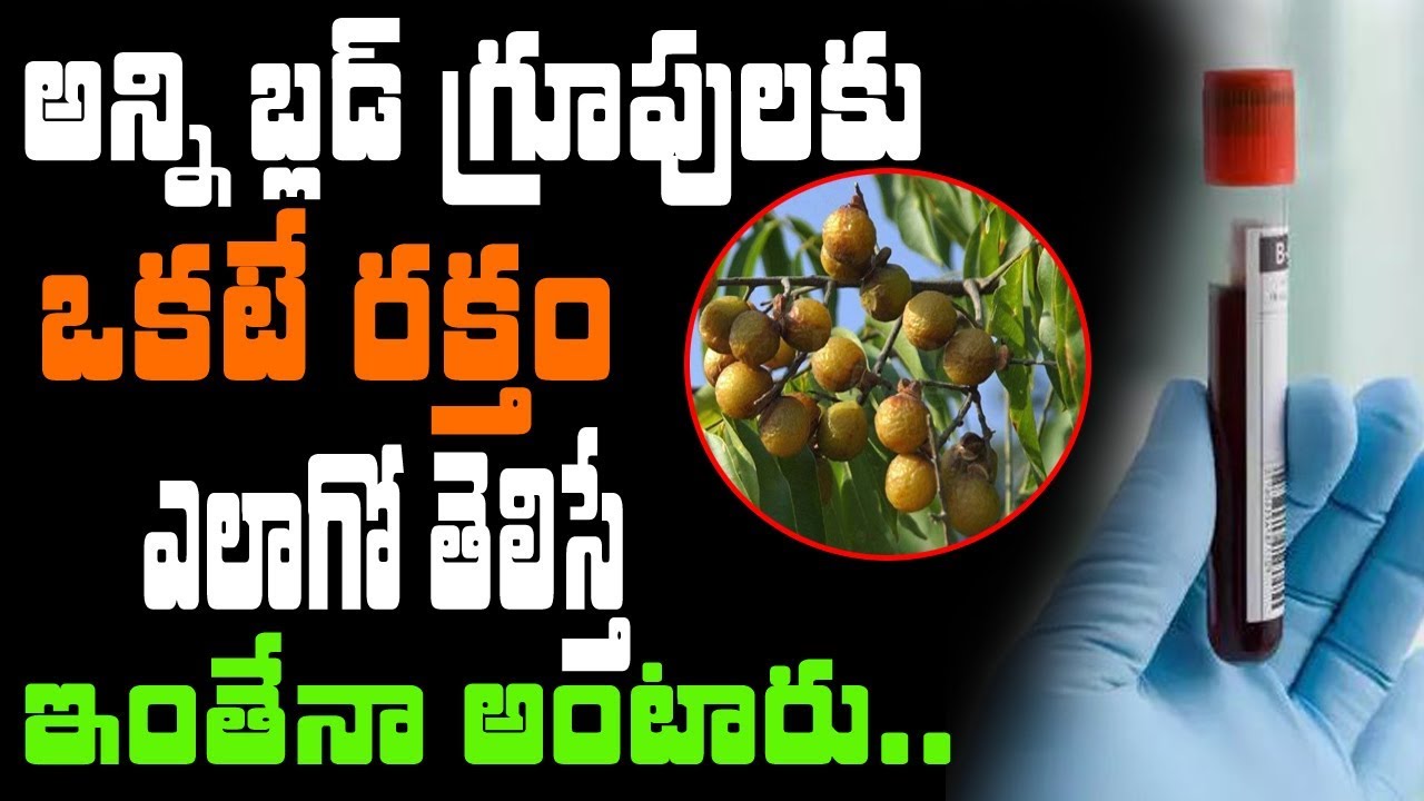 Artificial Blood Substitutes Market || Scientists develop artificial ...