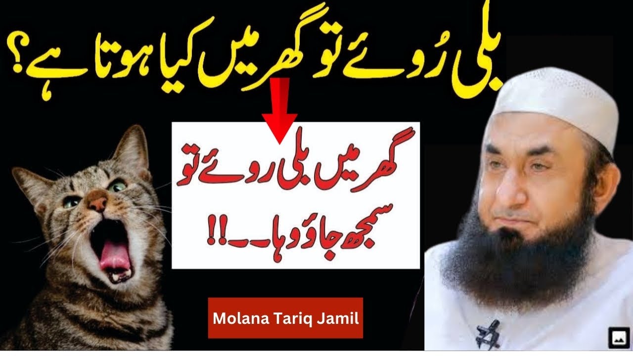Billi Roy To Ghar Mein Kya Hota Hai Jis Ghar Mein Billi Roy To Billi Roy To Ghar Mein Kya Hota Hai Jis Ghar Mein Billi Roy To