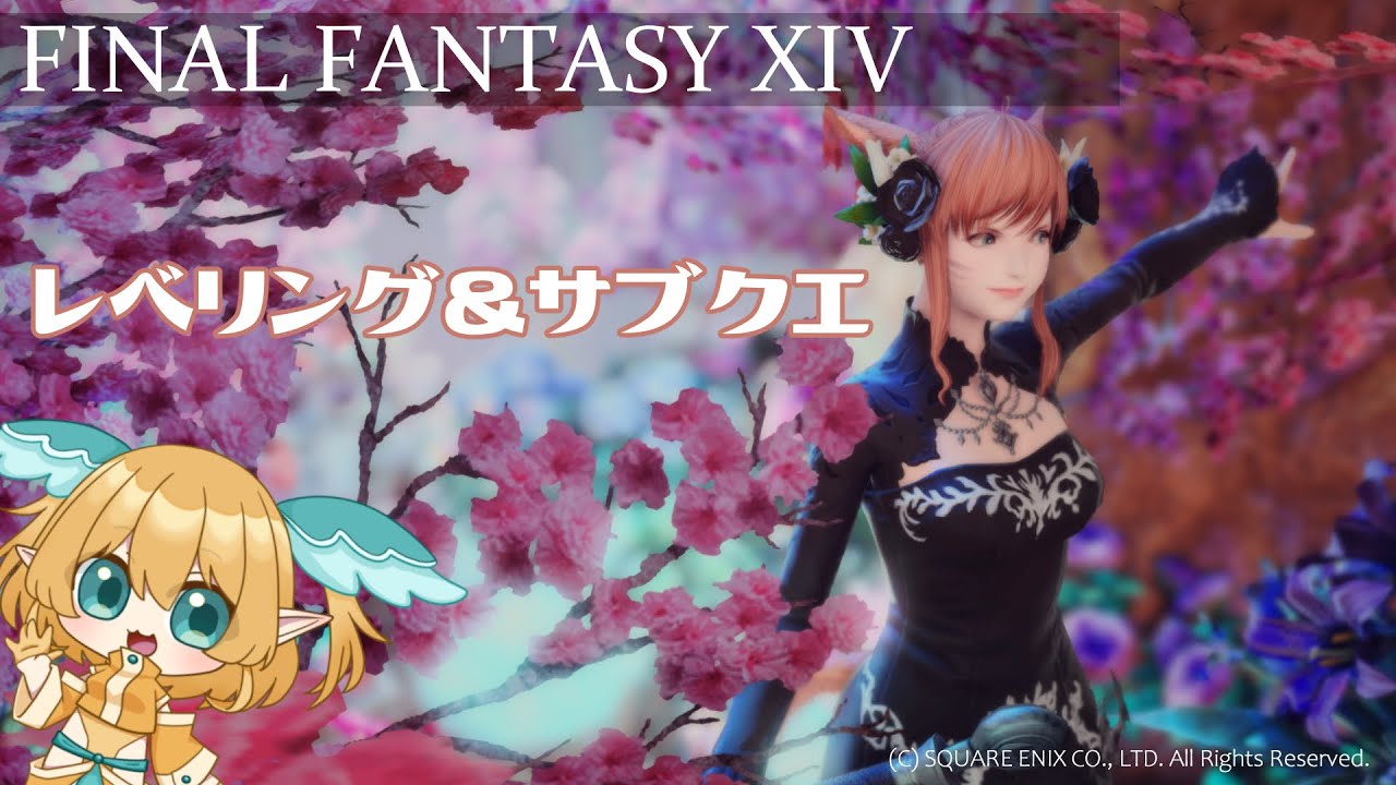 【FF14】レベリング 暗黒Lv57～【Elemental DC】 - YouTube