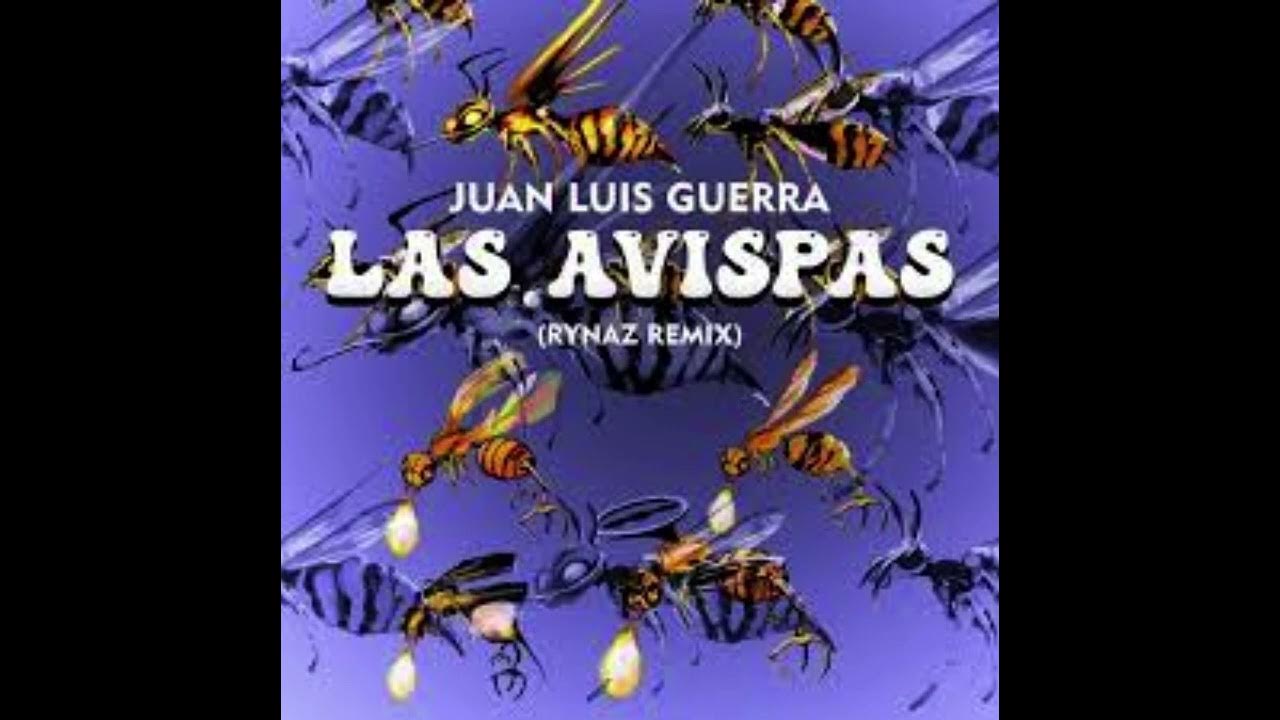 Juan Luis Guerra - las avispas - YouTube