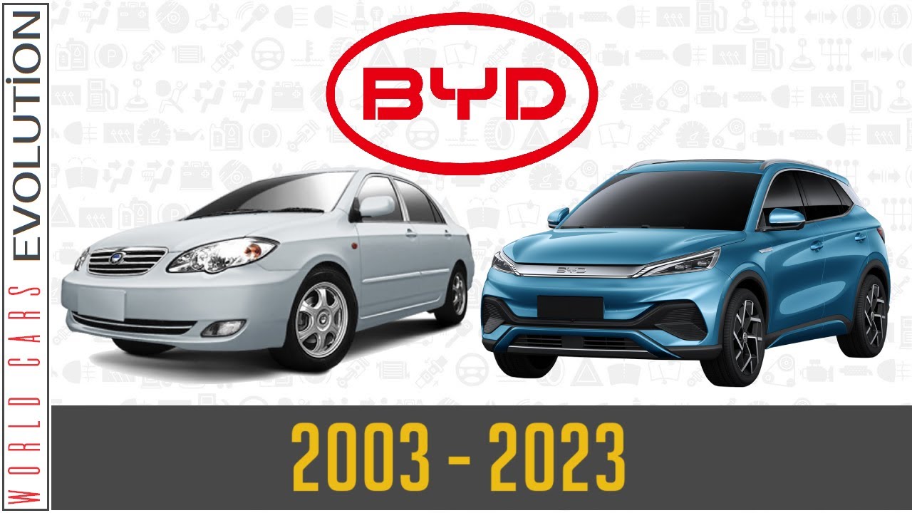 Byd Auto Logo Een Serviceafspraak Inplannen Louwman BYD