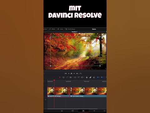 Dynamic Zoom - Davinci Resolve - YouTube