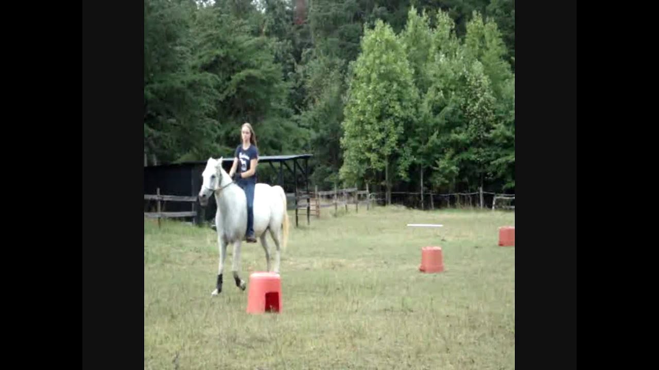 My arabian horse jumping bareback - give all my secrets away - YouTube