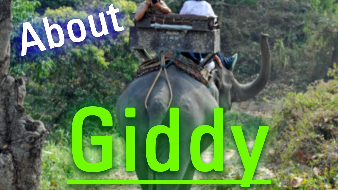 How Does Giddy Look? | How to Say Giddy in English? | What is Giddy ...