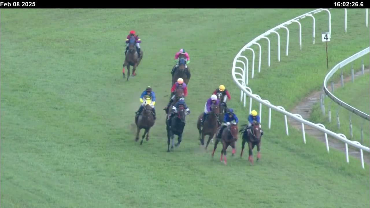 2025-2-8 (R08) - YouTube