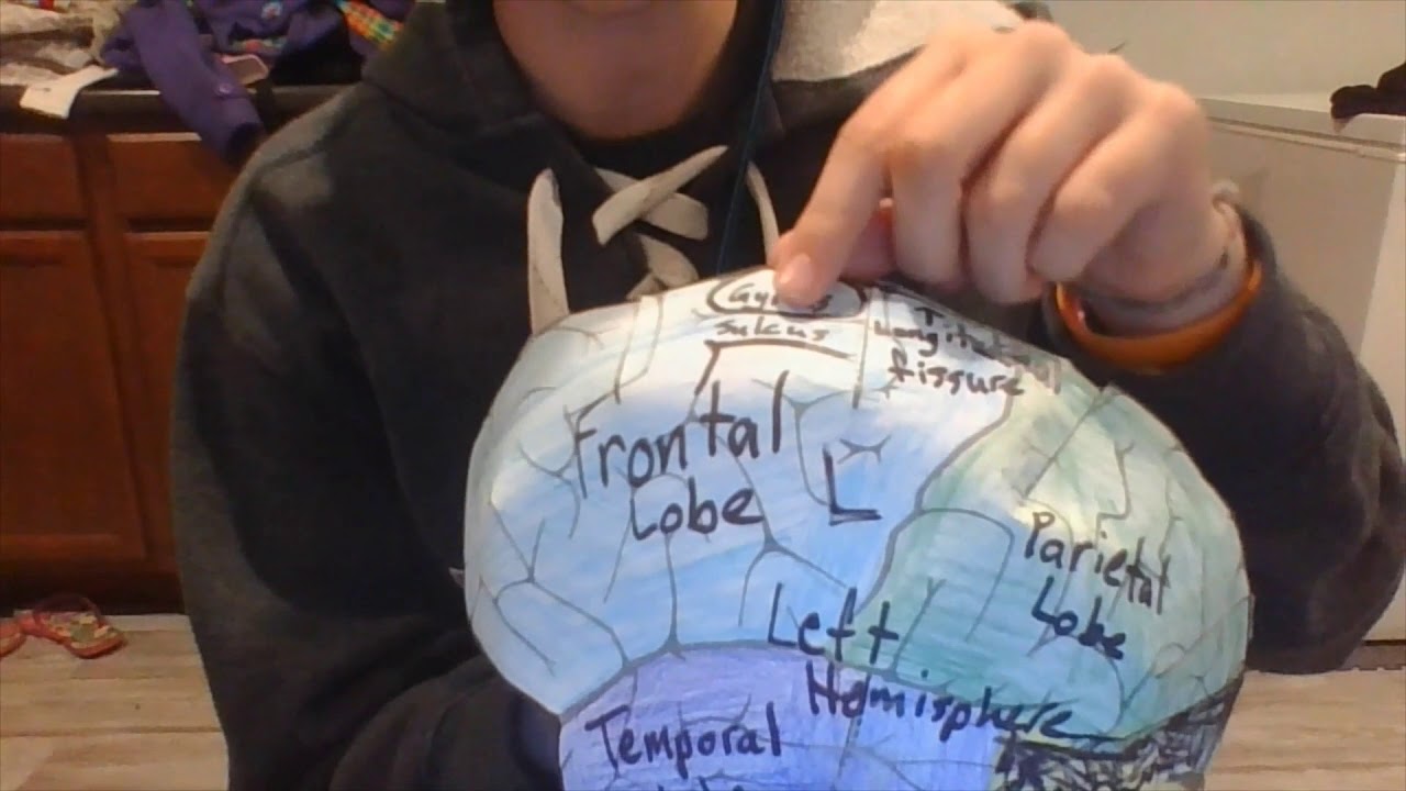 A&PL Brain Hat Project - YouTube