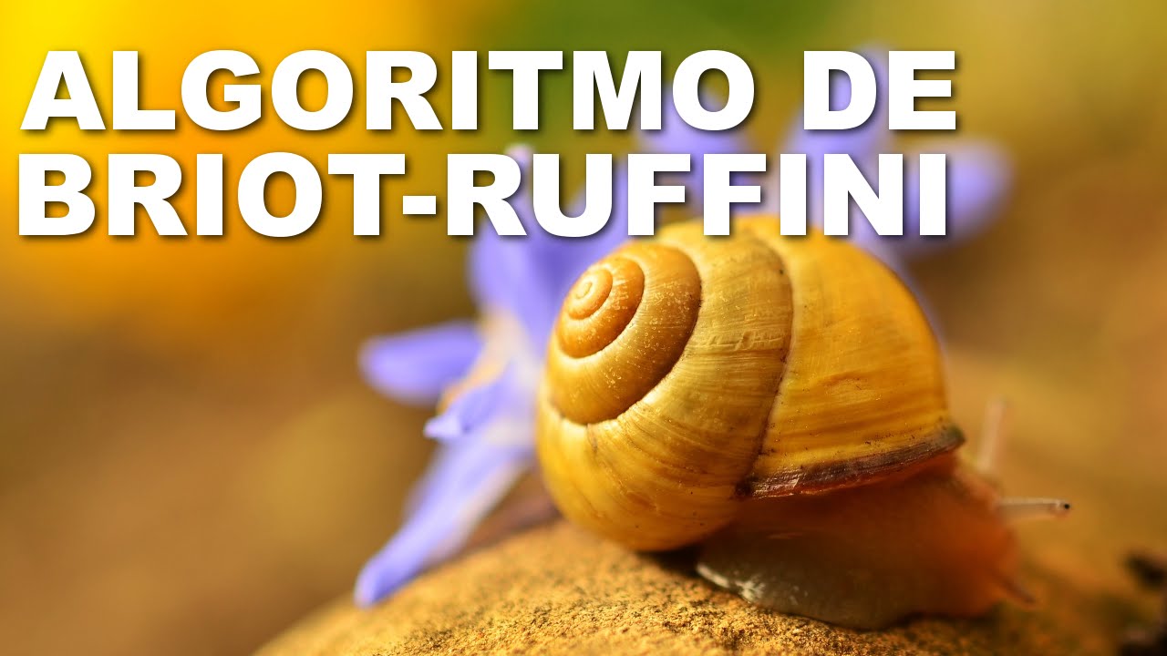 Algoritmo De Briot Ruffini Youtube