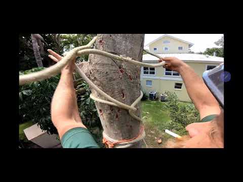 Negative rigging and narrating. - YouTube