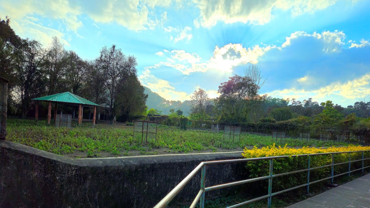 Manipur Zoological Garden, Imphal - YouTube