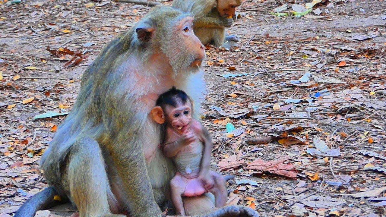 So cute newborn baby Bria she is so beautiful - YouTube