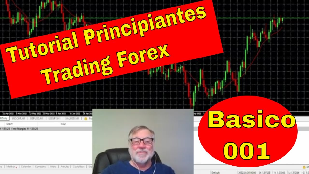Tutorial de Forex para principiantes, Paso a Paso explicado en manera ...
