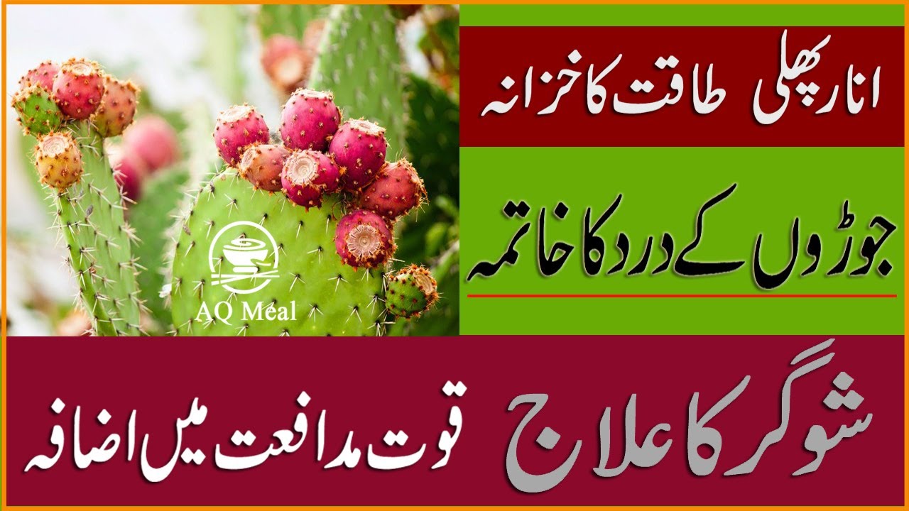 🛡️Cactus Fruit💪 pickly pear🔥انار پھلی شوگر کا علاج ️ انار پھلی طاقت کا ...