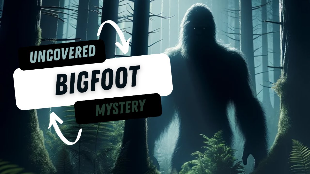 Bigfoot Uncovered: A Deep Dive into the Sasquatch Mystery - YouTube