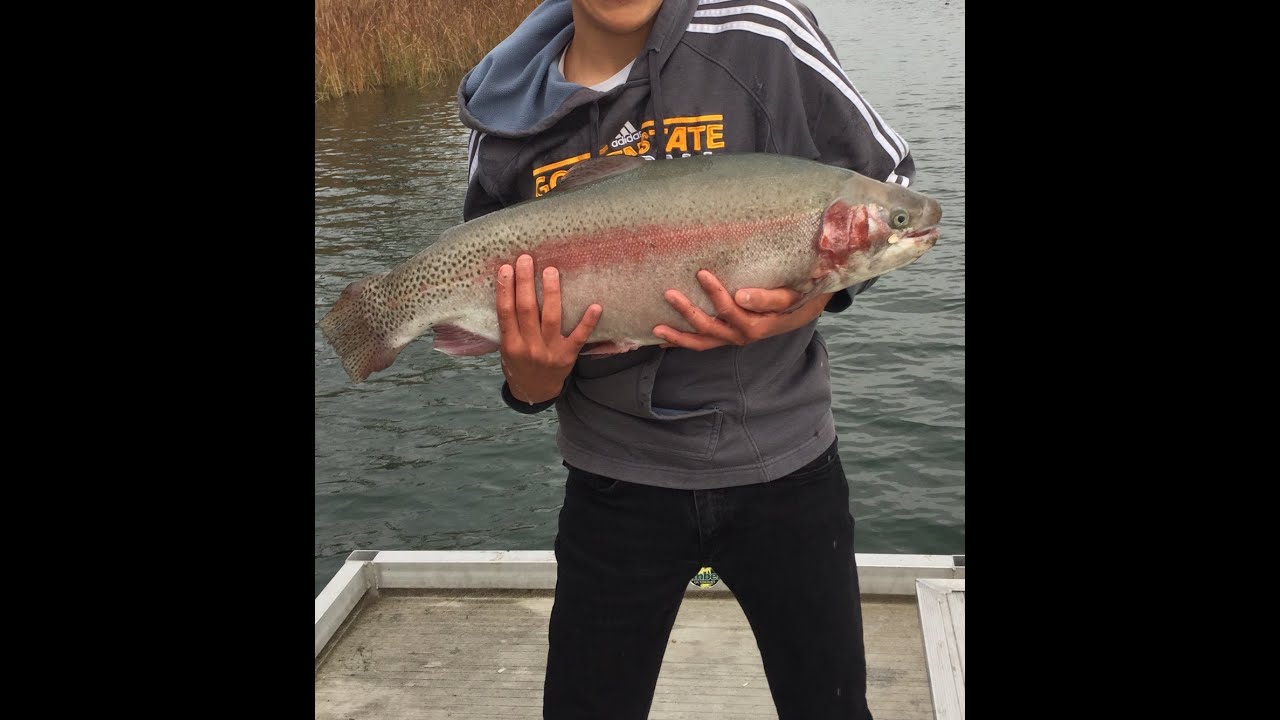 How to catch a trout at Shadow Cliffs - YouTube