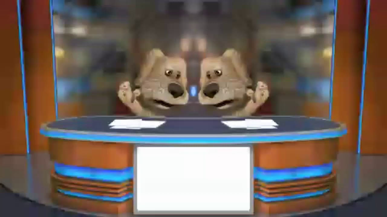 Talking Tom and Ben fight in news in cOnFuSiOn - YouTube