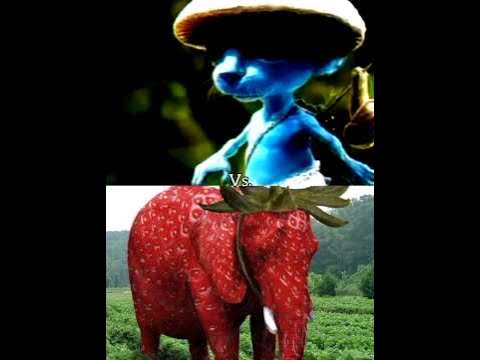 Indo Ali Vs Elefante Morango #edit - YouTube
