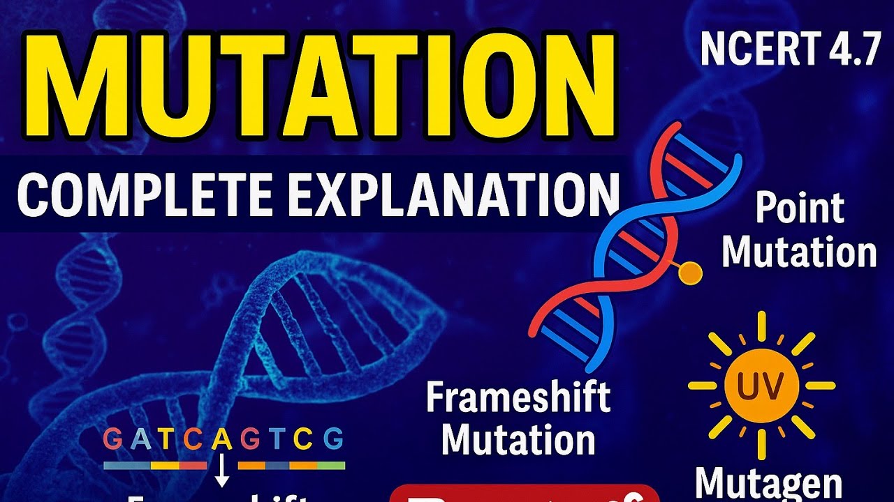 4.7 | Types of Mutations with Examples | Genetics | Explained in Telugu ...