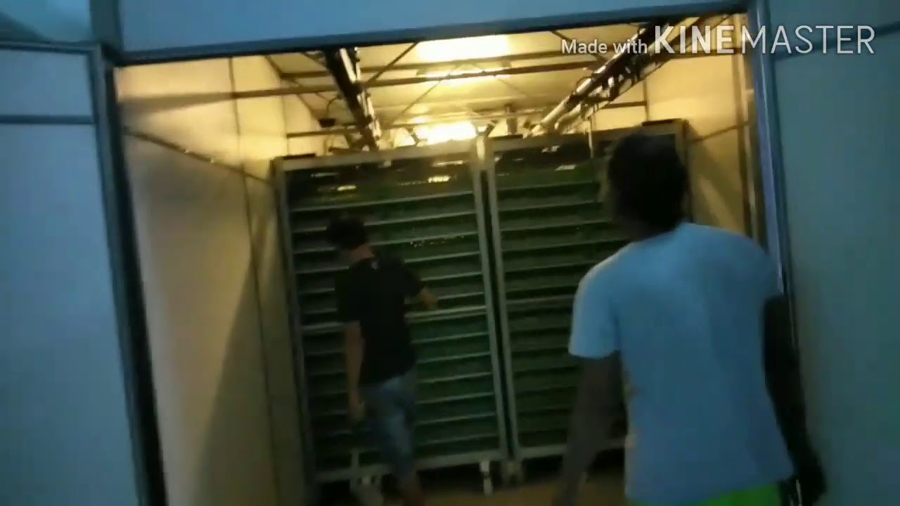 Proses soteng telor.. - YouTube