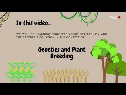 Quantitative Genetics - Heritability and The Breeder's Equation - YouTube