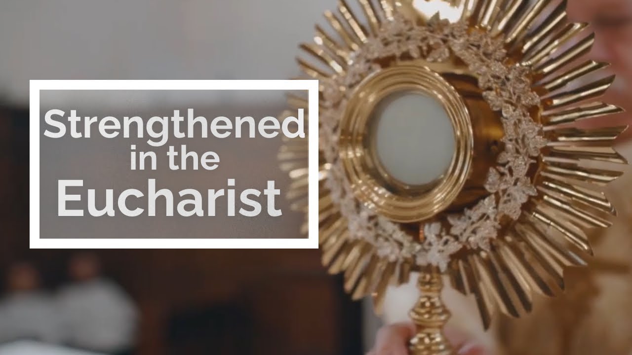 Knights Are Strengthened in the Eucharist - YouTube
