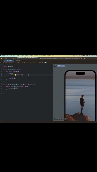 Displaying Local Images In Swiftui Beginners Guide Shorts Youtube