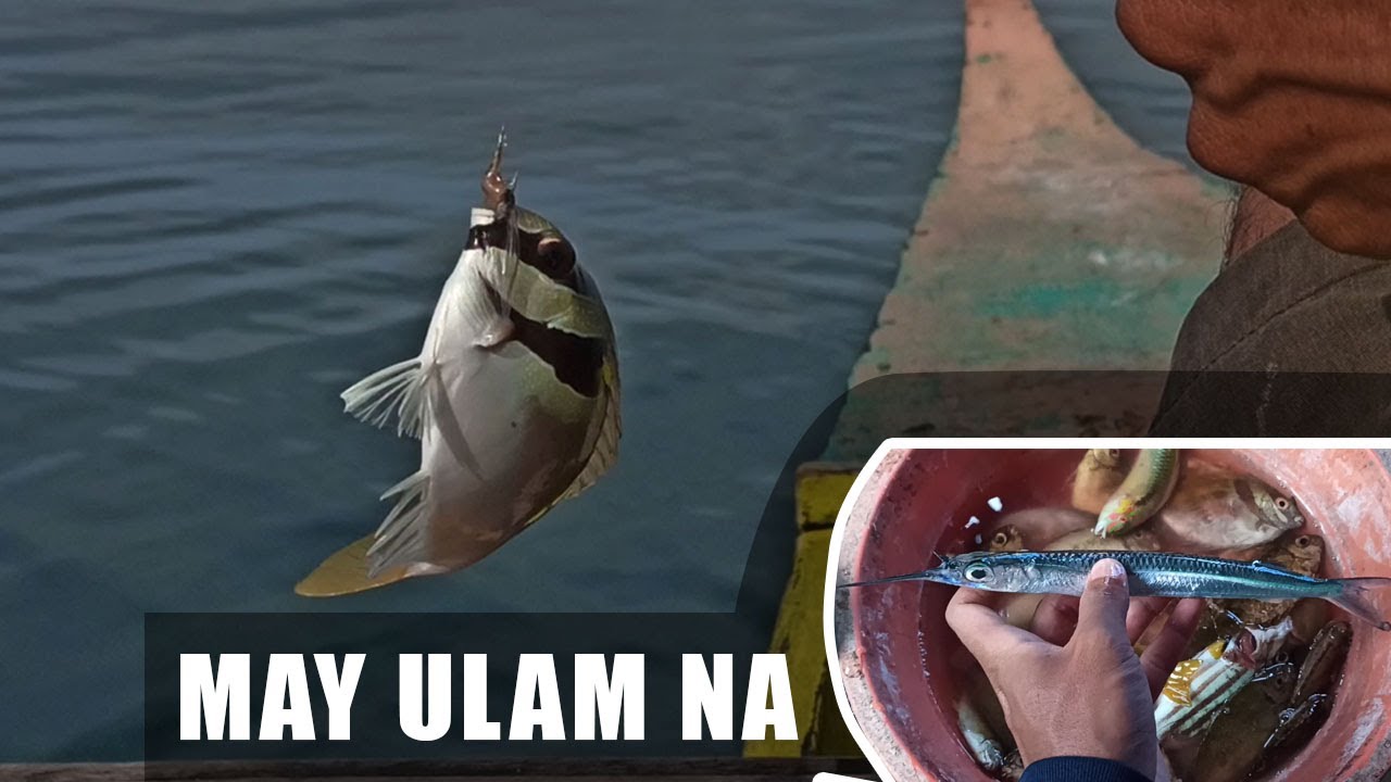 "BALAKWIT" traditional fishing in Bicol - YouTube