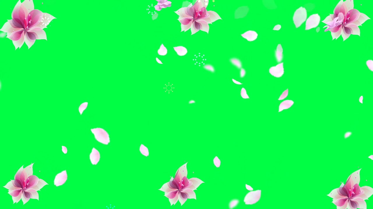 Beautiful flowers green screen effect//chroma key effect - YouTube