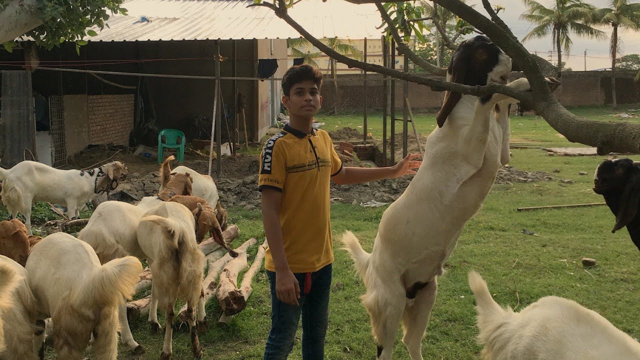 Bantala farm house ️ ️ - YouTube