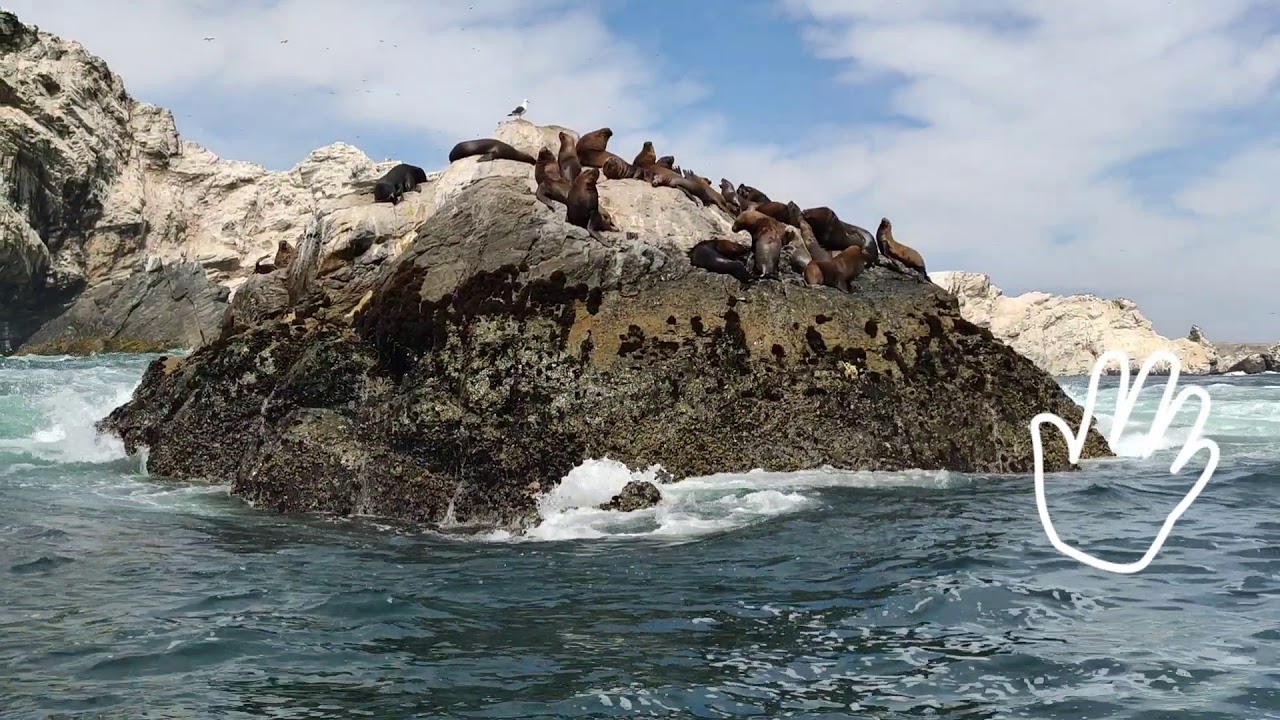 La Islilla e Isla Foca, recorrido turístico. - YouTube