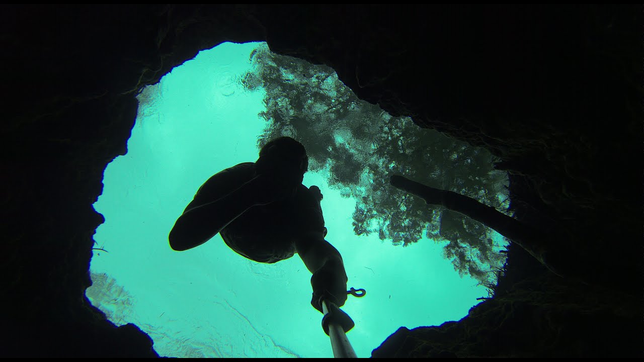 Ichetucknee Springs Free Dive at Blue Hole (aka Jug Hole) - YouTube