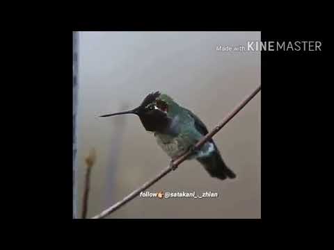 Herşeyi ən gözəl şəkildə Yaradan Rabbimiz