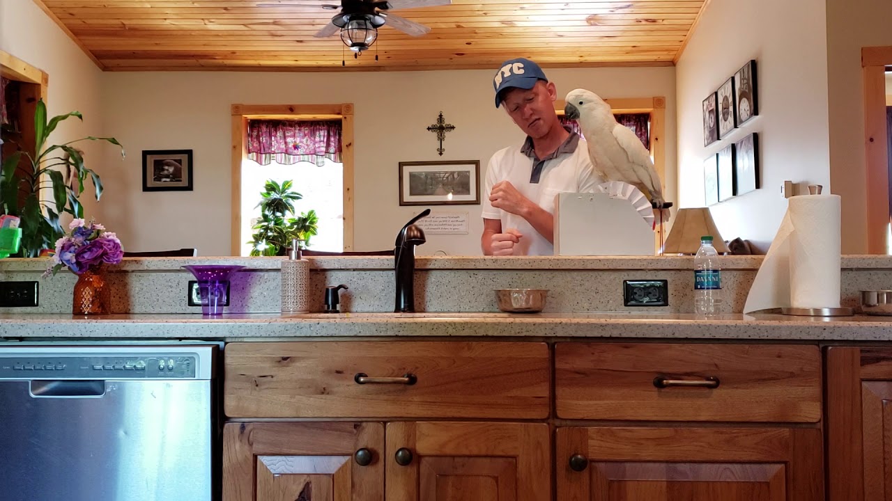 Two Doors Down - A Freaky Friday Video - YouTube