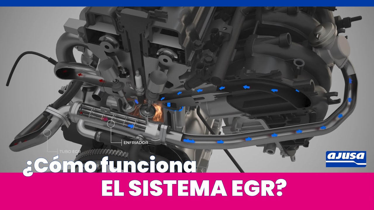 ¿Cómo funciona el sistema EGR y qué piezas necesita? | Guía completa ...