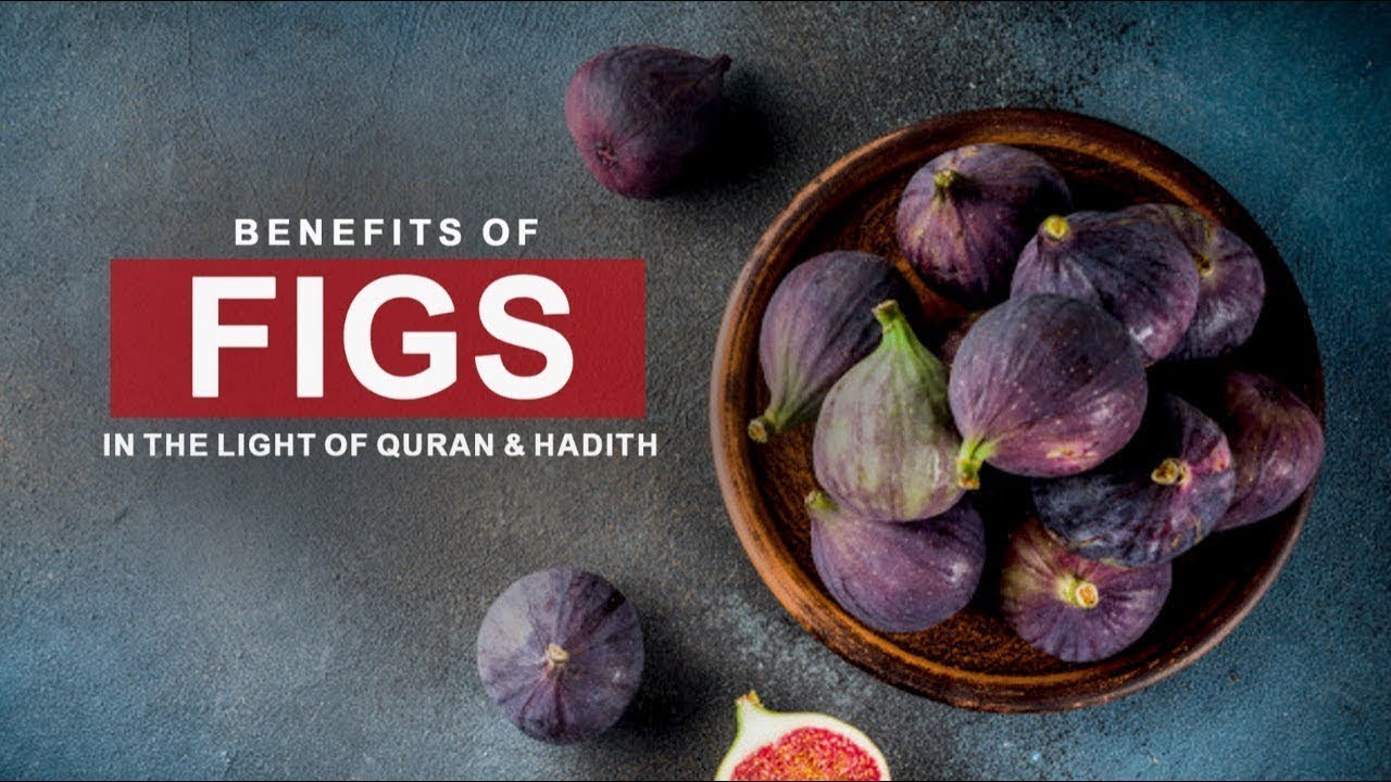 Allah ki Naimatein | Benefits of Figs in the light of Quran & Hadith ...