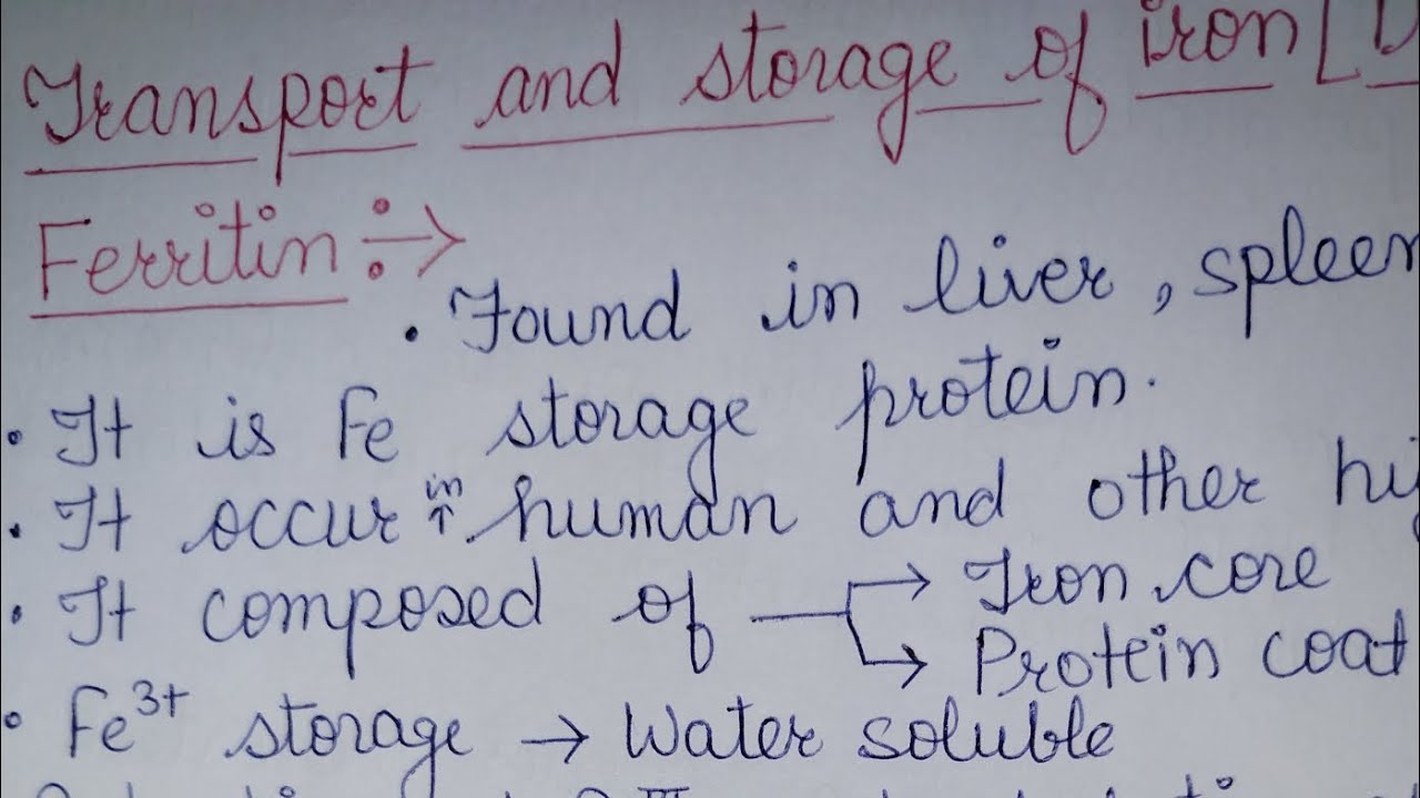 Transport & storage of iron (Fe) ~ Ferritin & Transferrin its process ...