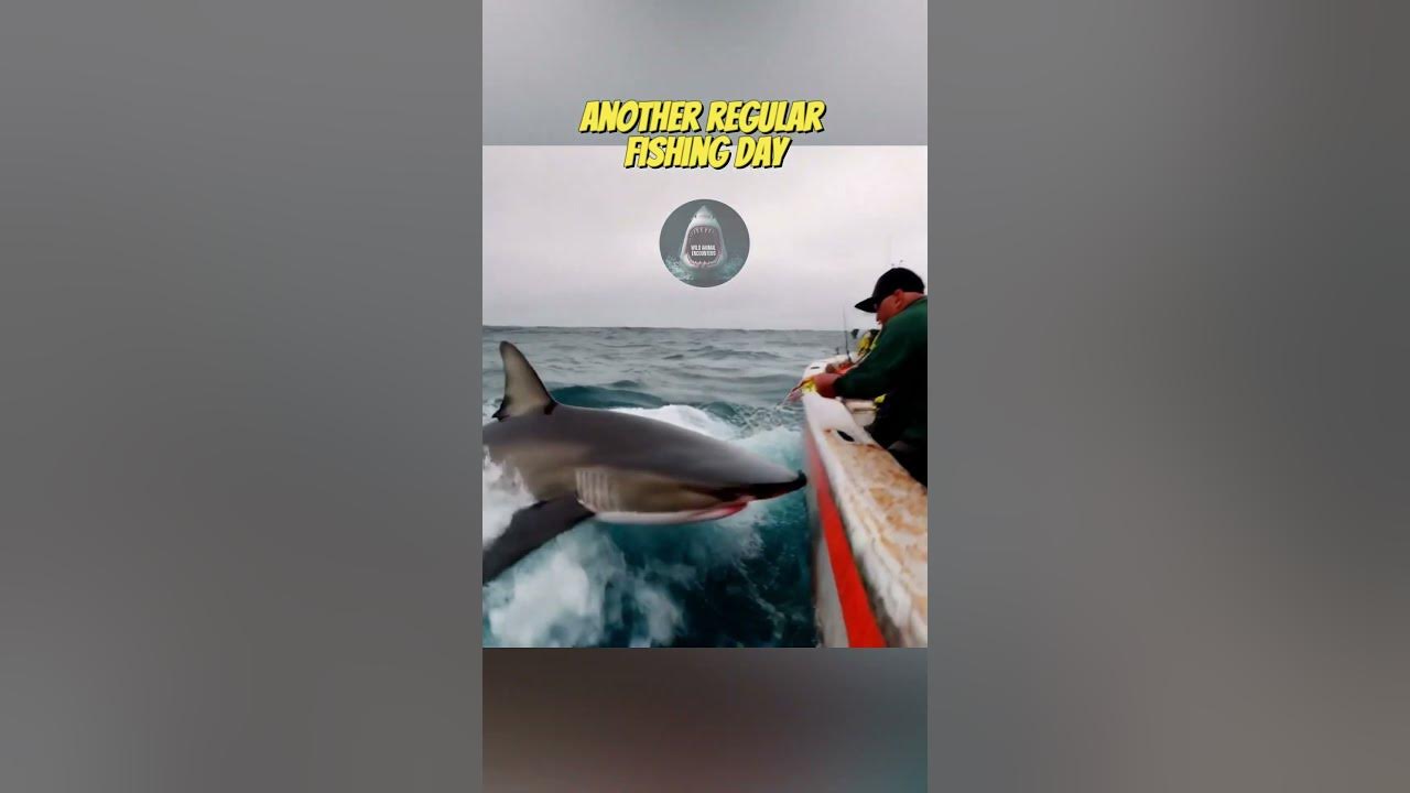 fisherman vs shark epic encounter #fishermans - YouTube