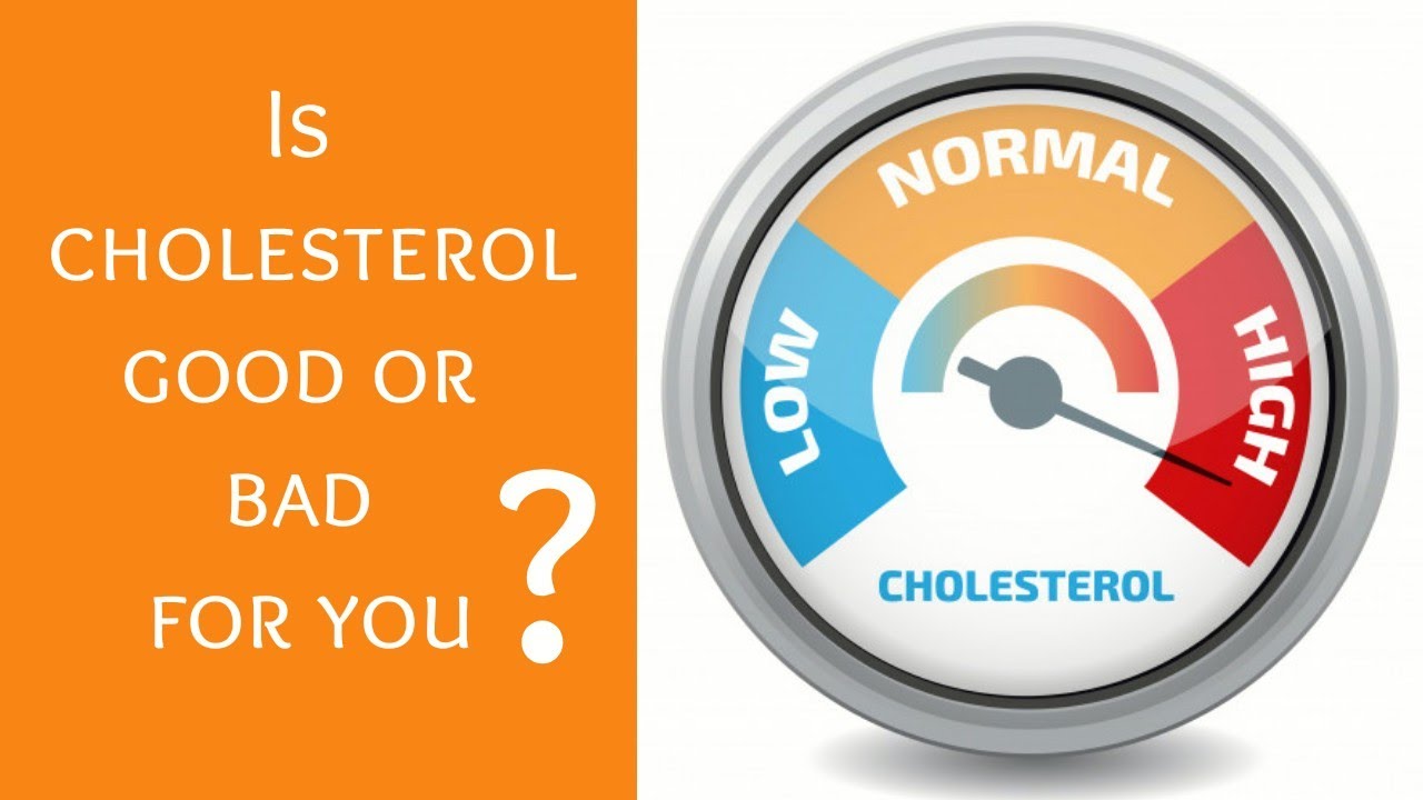 Is Cholesterol Good Or Bad For You Cholesterol Good Or Bad YouTube is-cholesterol-good-or-bad-for-you-cholesterol-good-or-bad-youtube