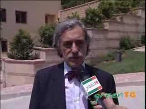 Green tg intervista Federico Maria Butera - YouTube