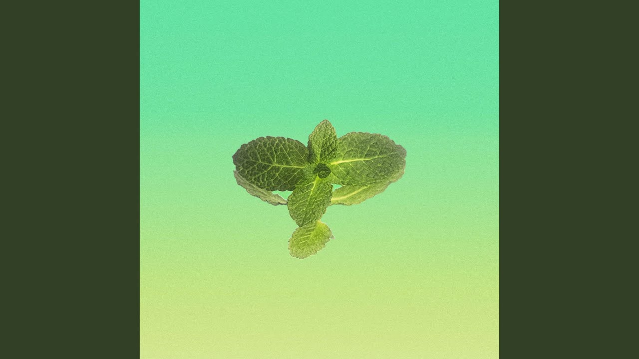 MINT - YouTube