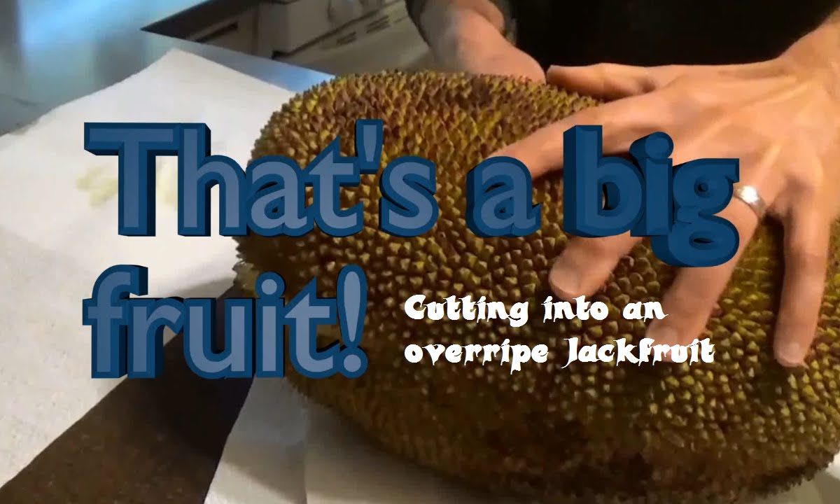 Cutting into an Overripe Jackfruit - YouTube