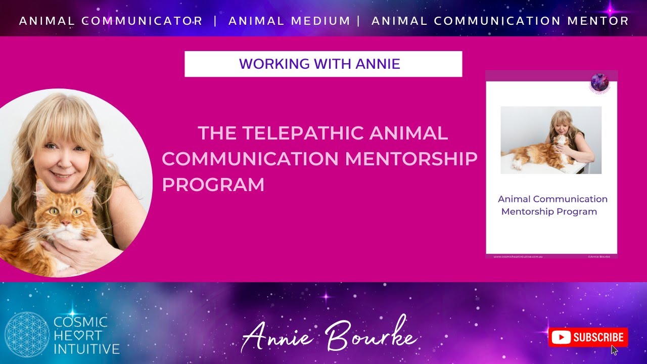 Working with Annie Telepathic Animal Communication Mentorship Program - YouTube