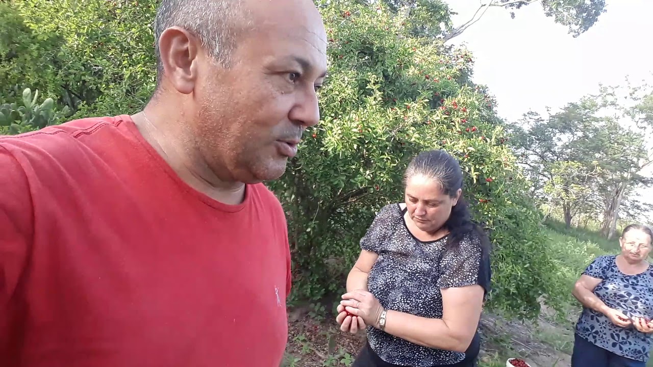 Vida na roça - YouTube