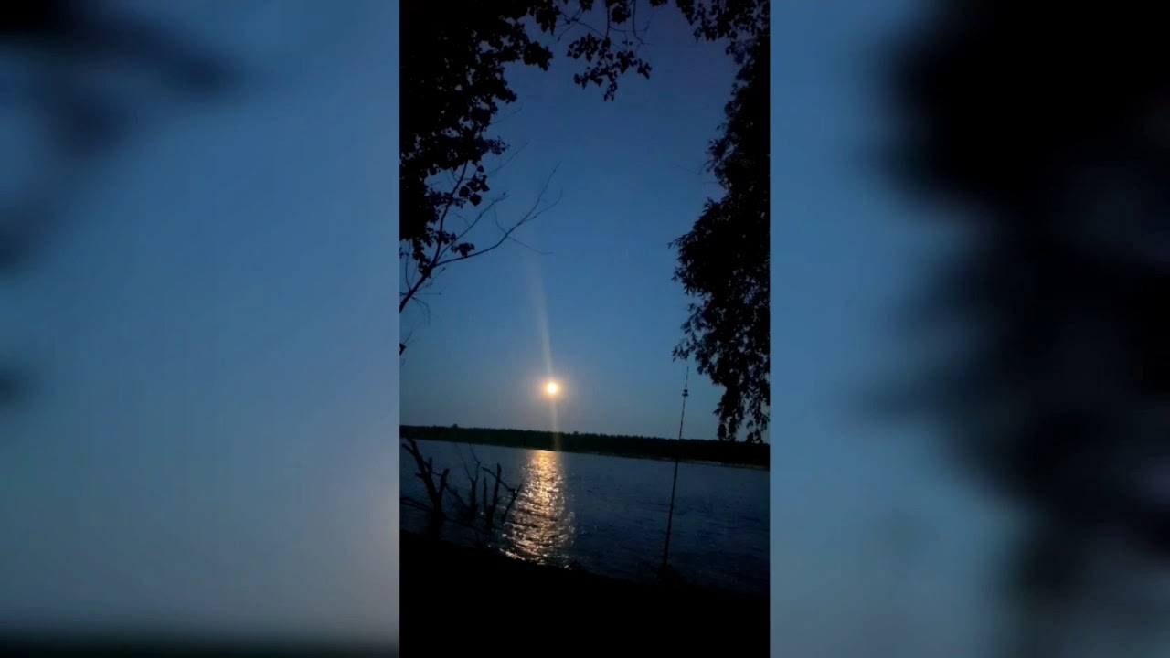 Insula cailor #Galati #Dunarea #Luna - YouTube