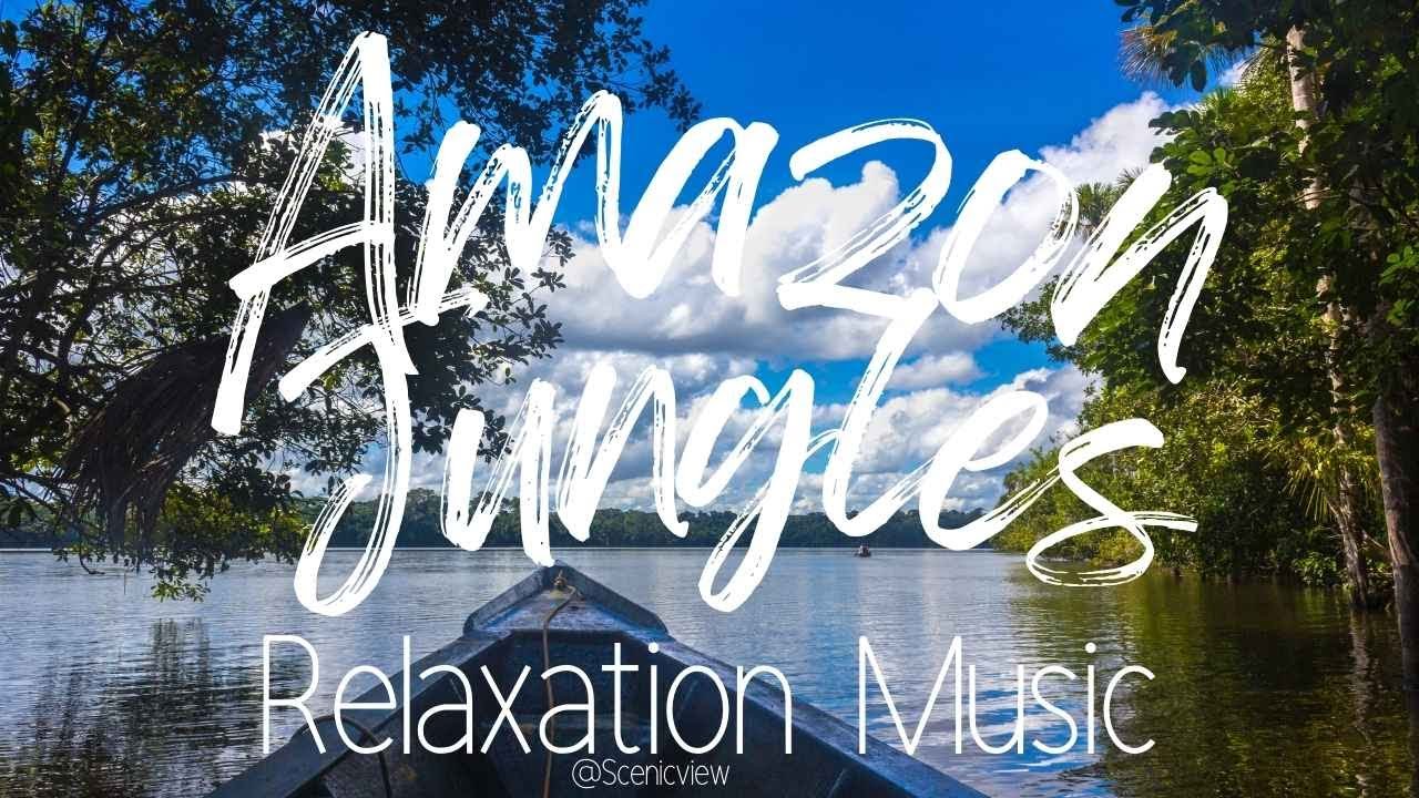 Amazon Jungle in 4K Relaxation Music | Calming Nature Film | Amazon ...