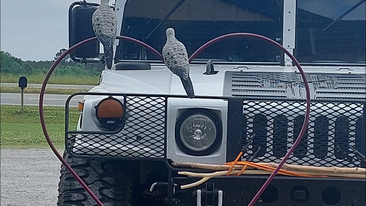 #Humvee #Overlander #camping - YouTube