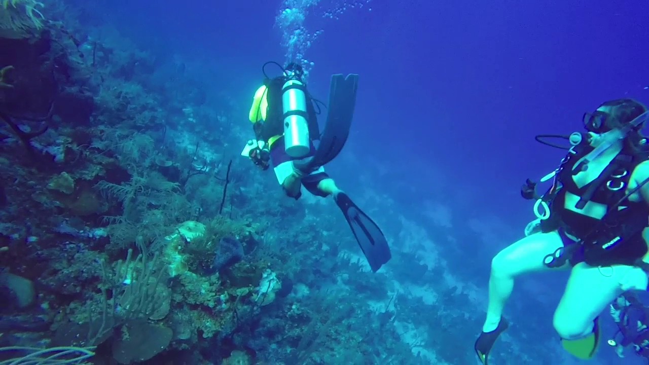 Diving Turneffe atoll - December 25, 2016 - Dive 1 #Belize - YouTube