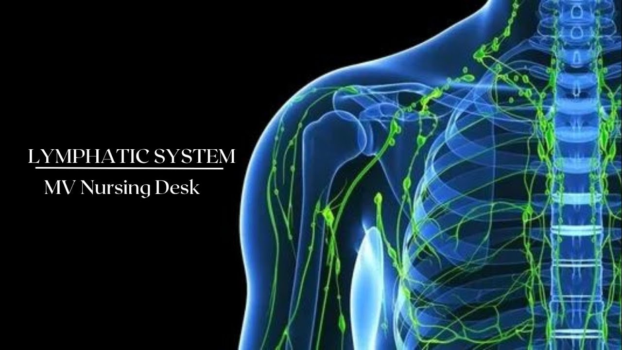 Introduction of Lymphatic System. - YouTube