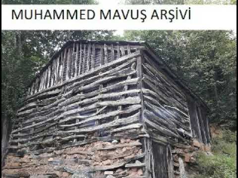 PERİHAN MESUDİ AĞAÇLIKTAN ARAR GELİR
